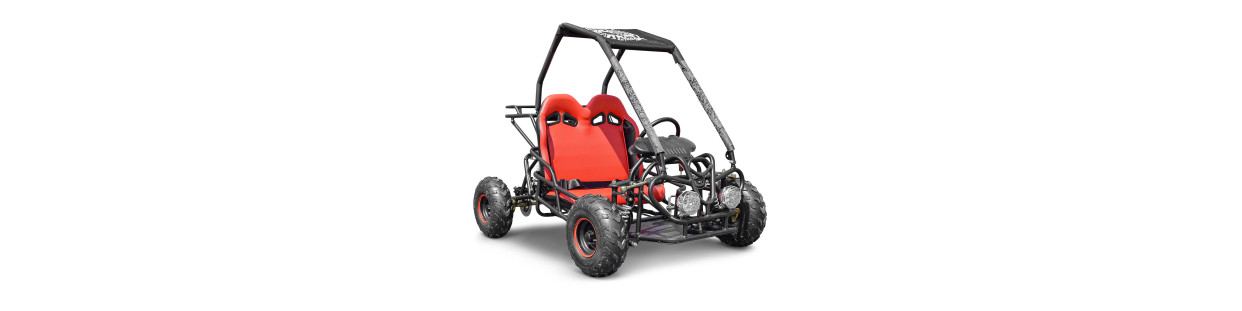 Buggy 110cc pour enfant, 2 places avec marche arrière - EIM