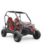 Pièces détachées pour BUGGY 210CC K3 GK011 (6)